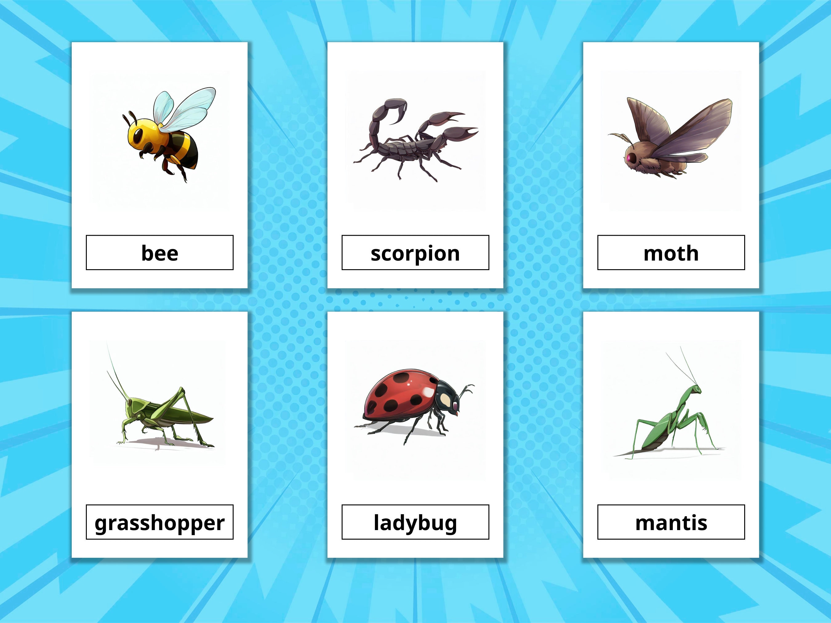 24 Insect Kingdom Flash Cards Printable for Kids (montessori Cards ...