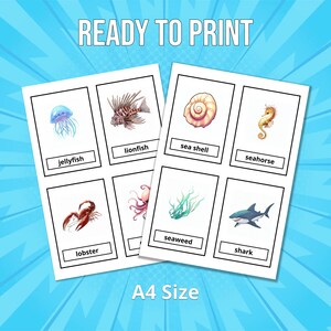 24 Under Sea Creatures Flash Cards Printable for Kids montessori Cards ...