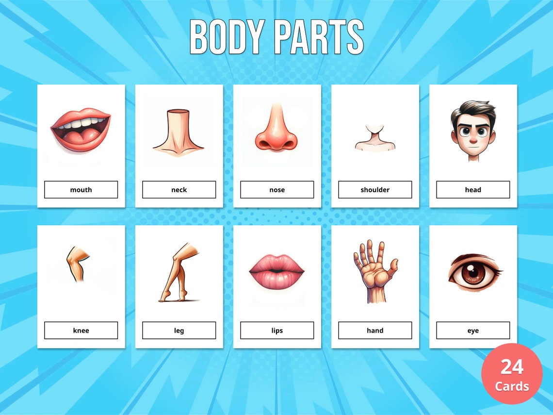 24 Body Parts Flash Cards Printable for Kids (montessori Cards ...