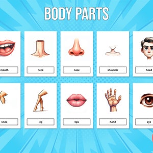 24 Body Parts Flash Cards Printable for Kids (montessori Cards ...