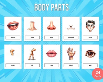 Face and Body Parts Flashcards Printable Download Montessori Style Set ...