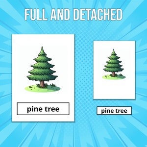 24 Botanical Trees Flash Cards Printable for Kids (montessori Cards ...