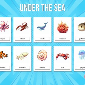 24 Under Sea Creatures Flash Cards Printable for Kids montessori Cards ...