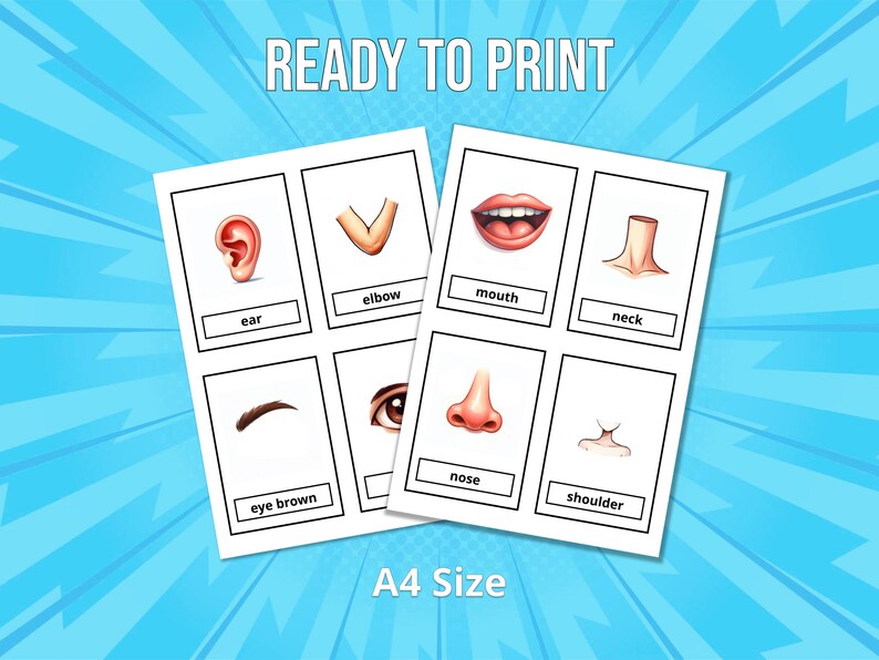 24 Body Parts Flash Cards Printable for Kids (montessori Cards ...