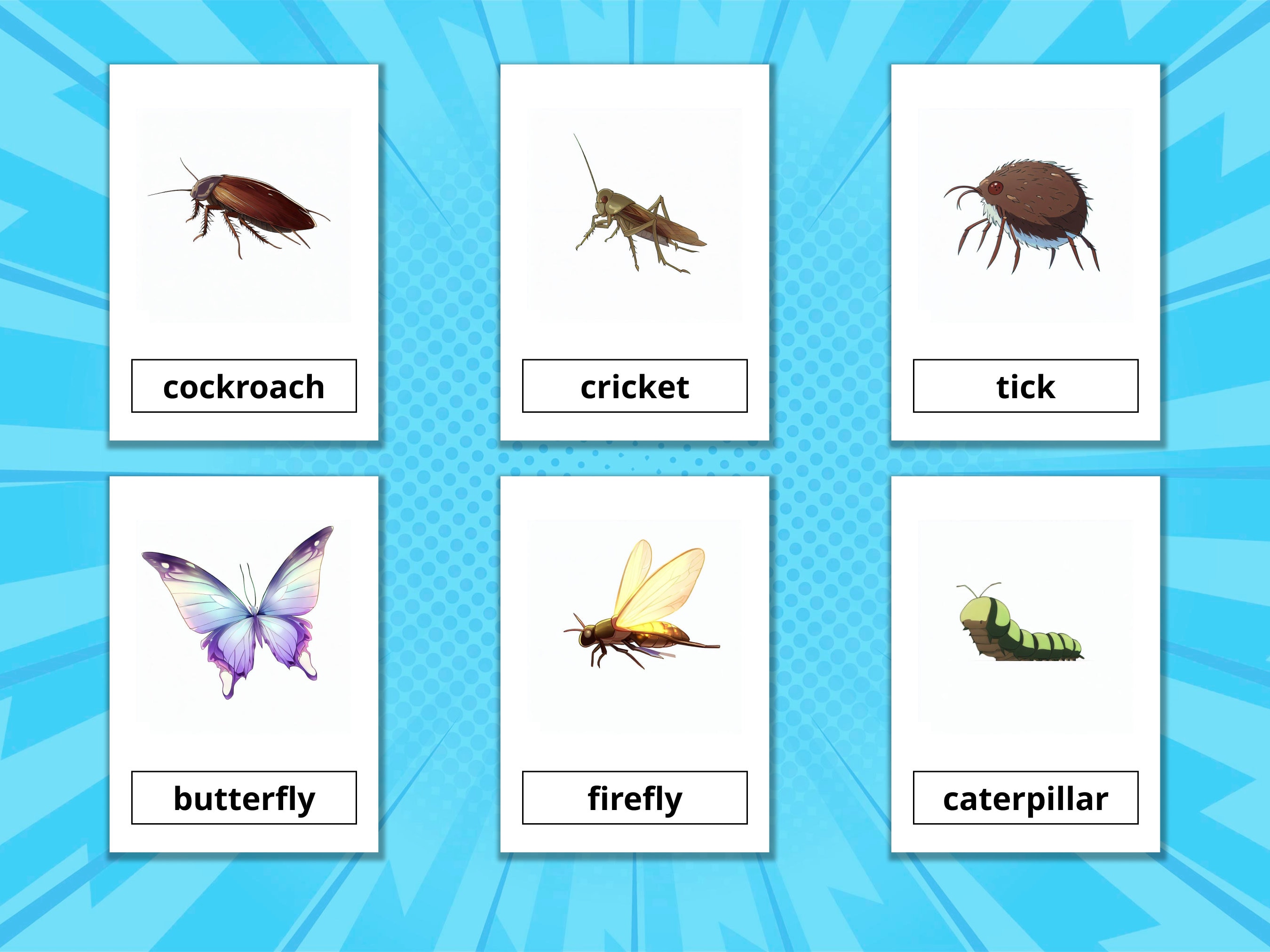 24 Insect Kingdom Flash Cards Printable for Kids (montessori Cards ...