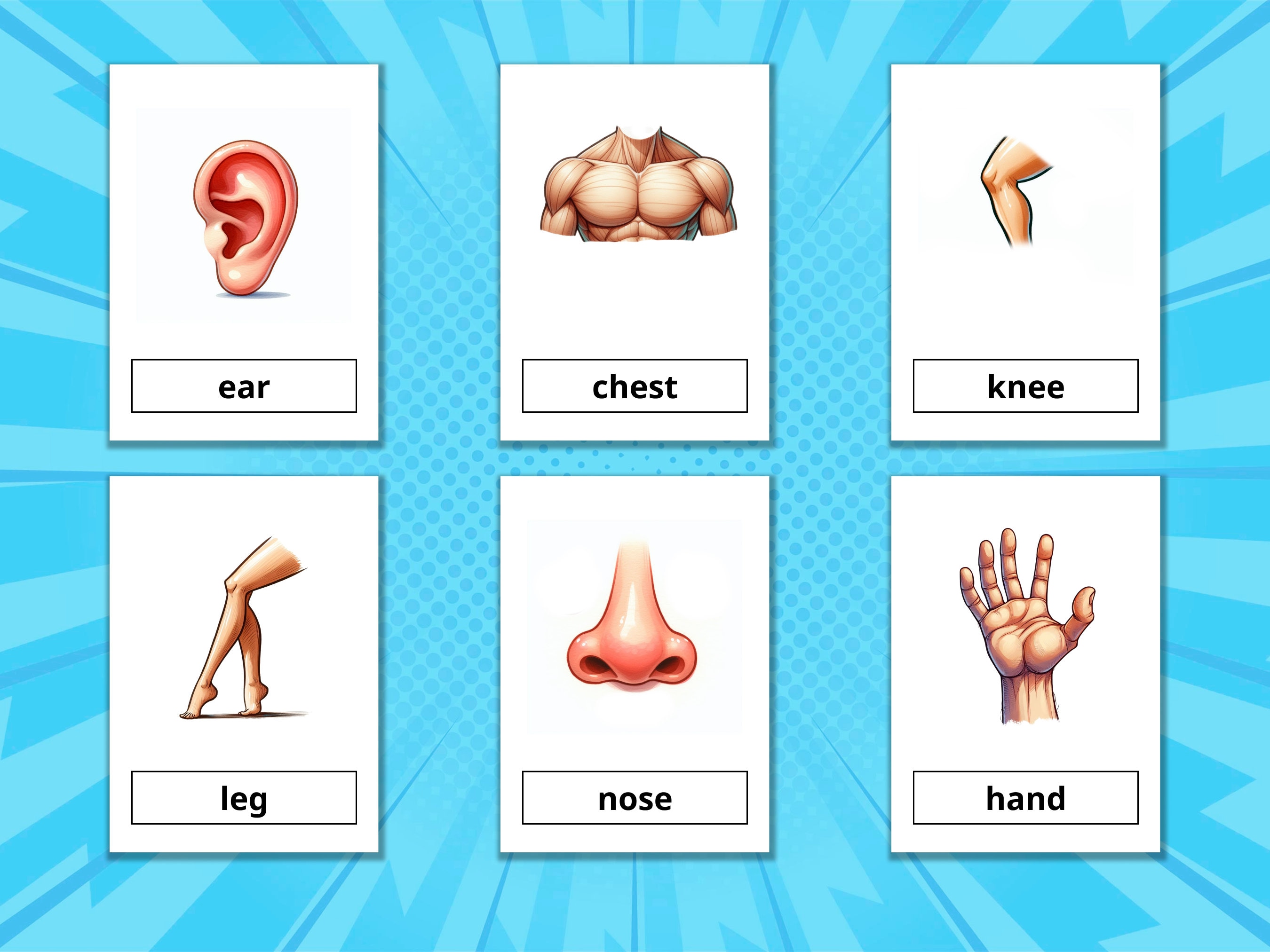 24 Body Parts Flash Cards Printable for Kids (montessori Cards ...