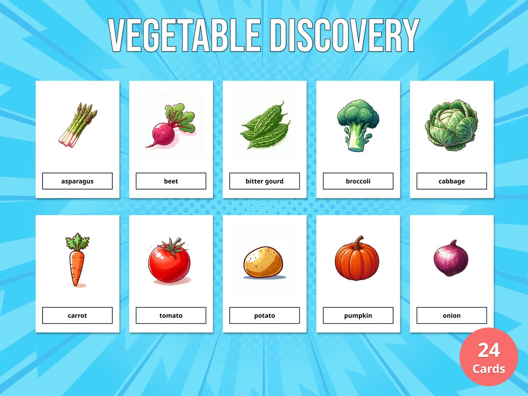 24 Vegetable Discovery Flash Cards Printable for Kids (montessori Cards ...