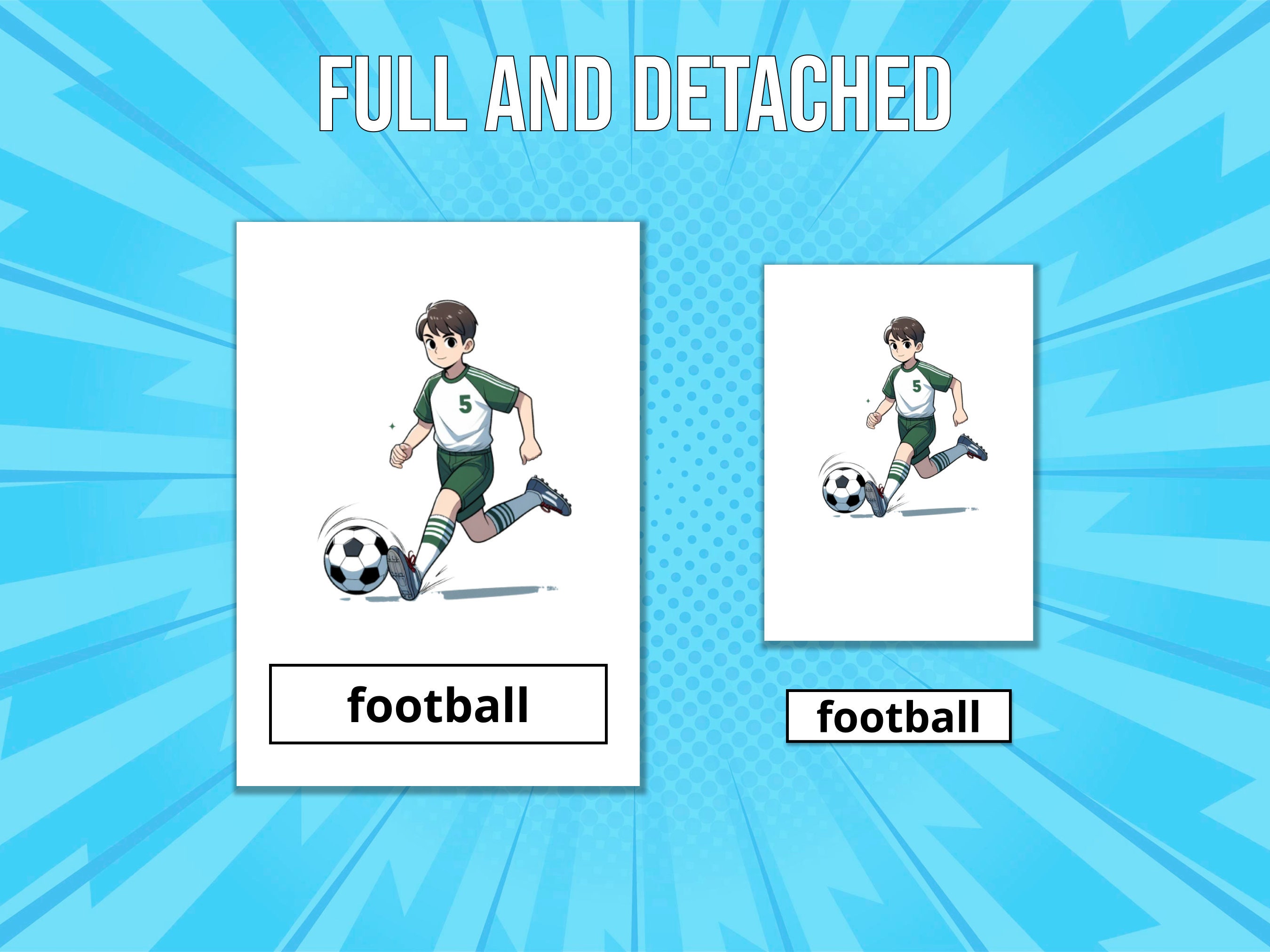 24 Sports Spectrum Flash Cards Printable for Kids (montessori Cards ...