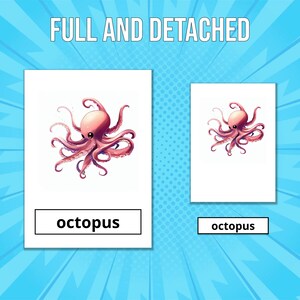24 Under Sea Creatures Flash Cards Printable for Kids montessori Cards ...