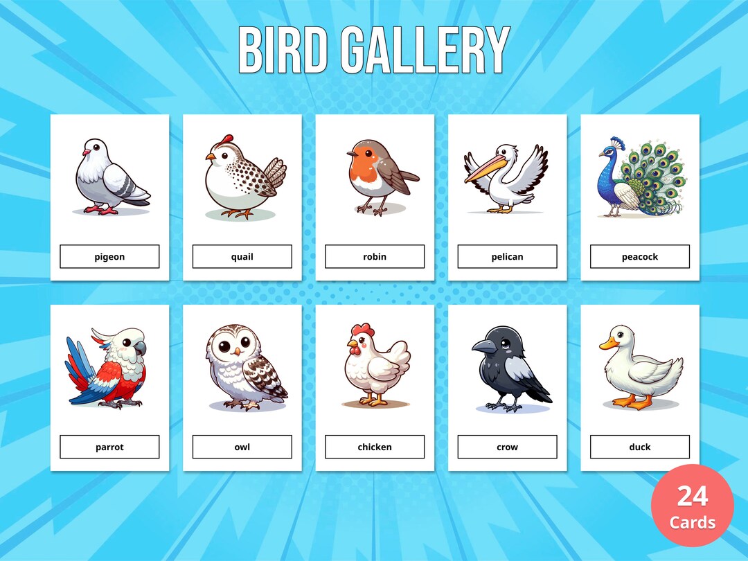 24 Bird Gallery Flash Cards Printable for Kids (montessori Cards ...