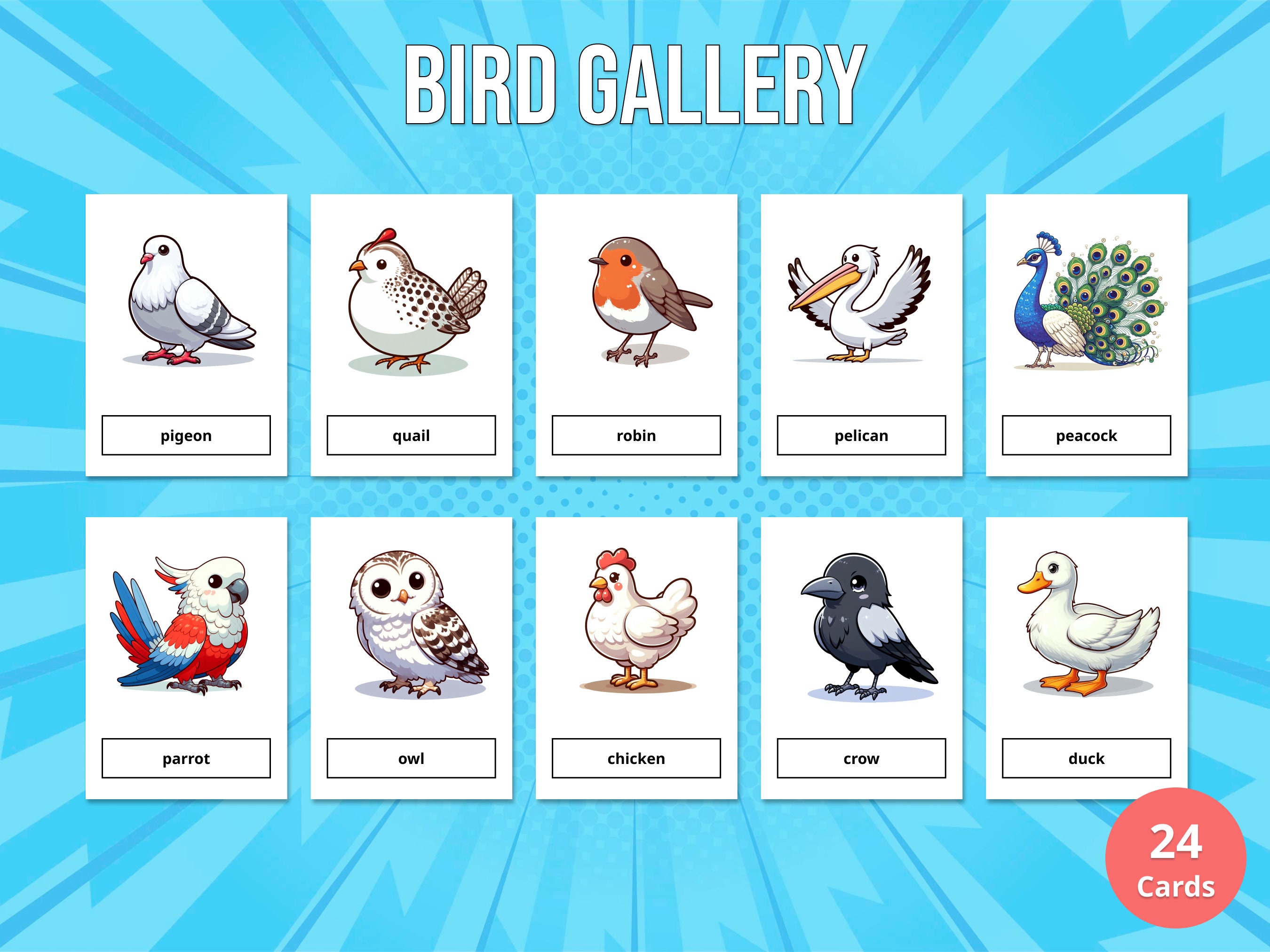 24 Bird Gallery Flash Cards Printable for Kids montessori Cards ...