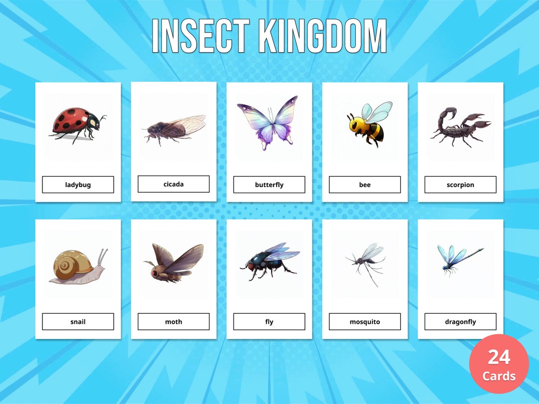 24 Insect Kingdom Flash Cards Printable for Kids (montessori Cards ...
