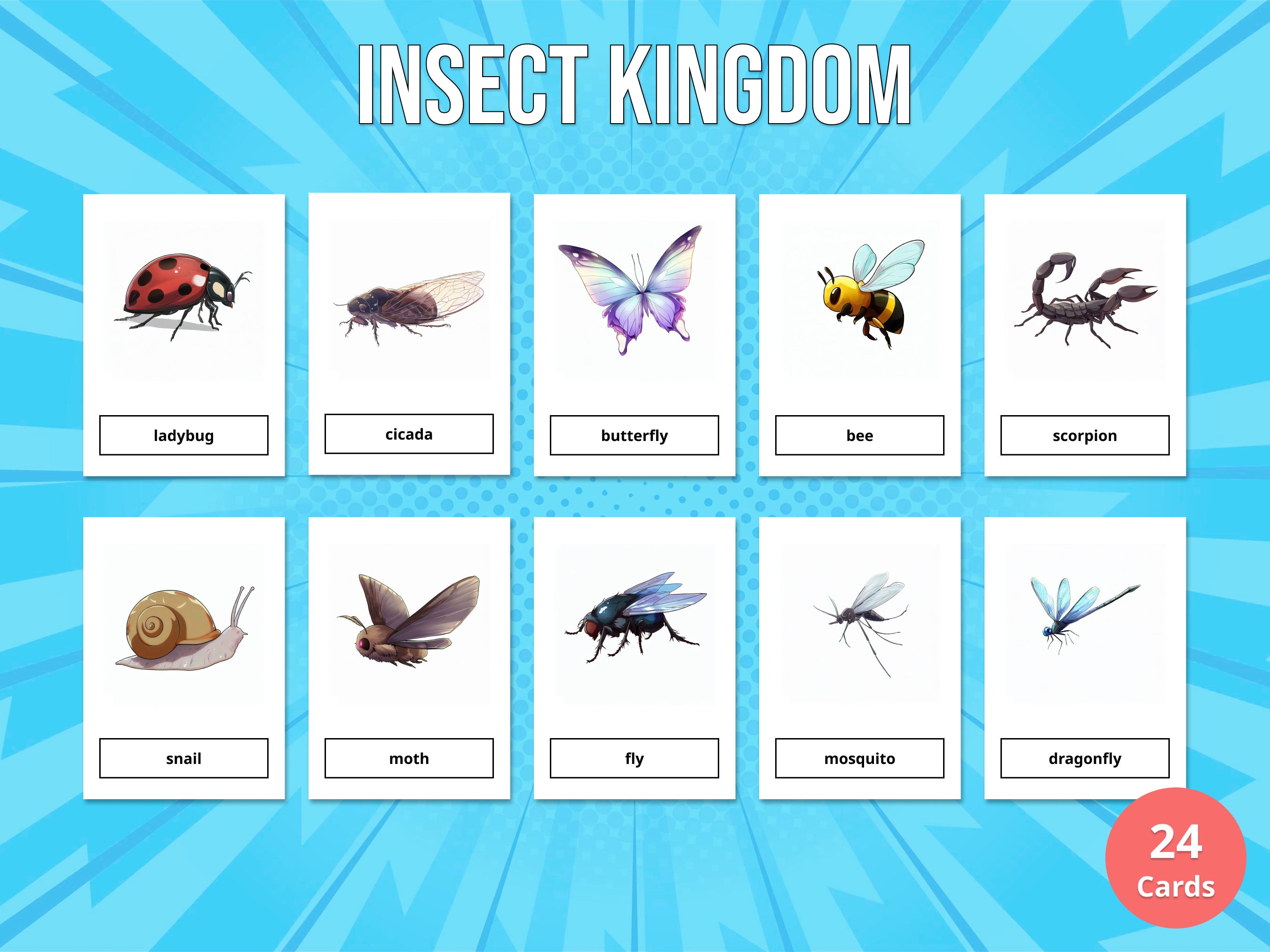 24 Insect Kingdom Flash Cards Printable for Kids (montessori Cards ...