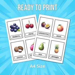 24 Fruits Frenzy Flash Cards Printable for Kids montessori Cards ...