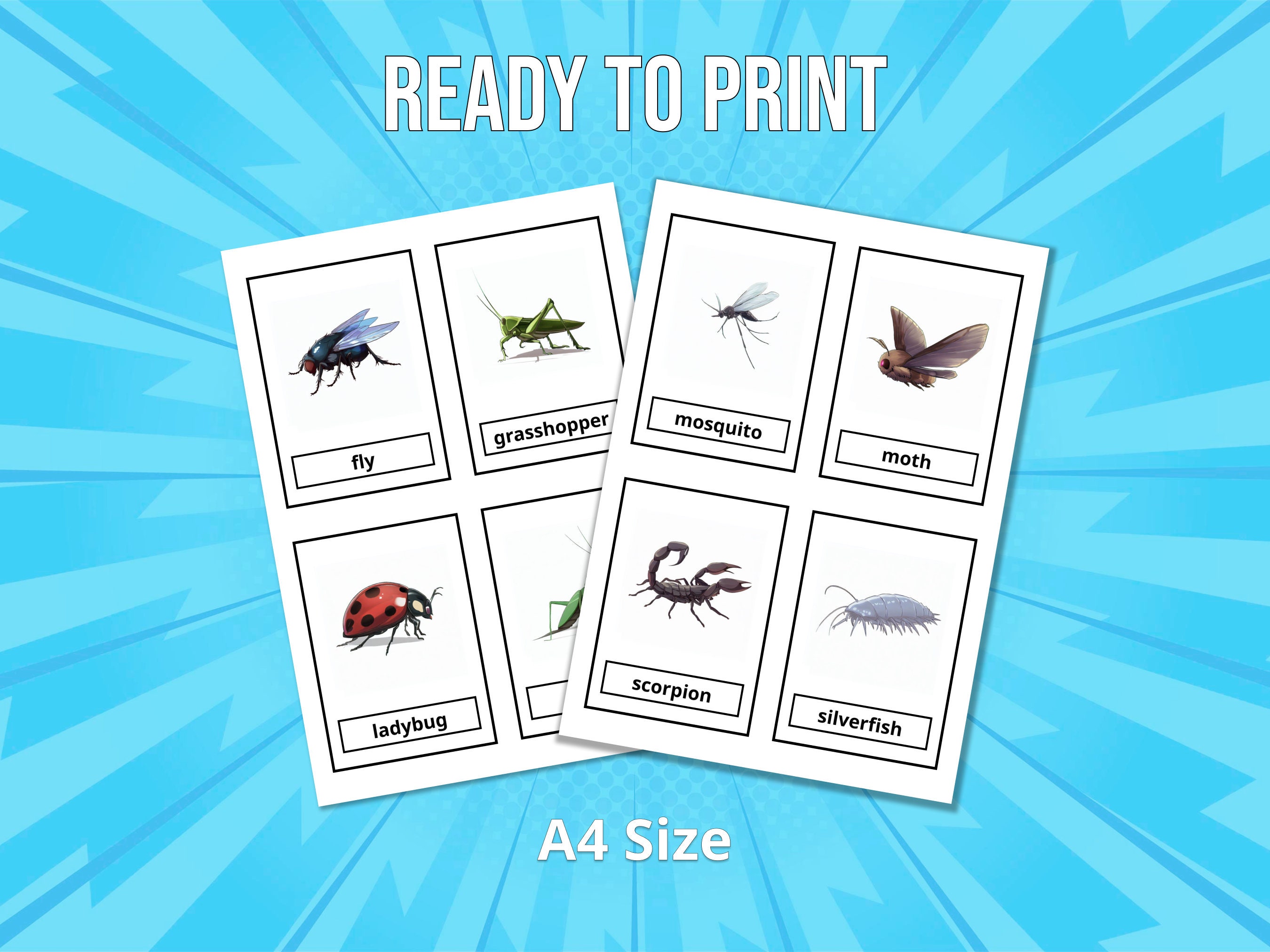 24 Insect Kingdom Flash Cards Printable for Kids (montessori Cards ...