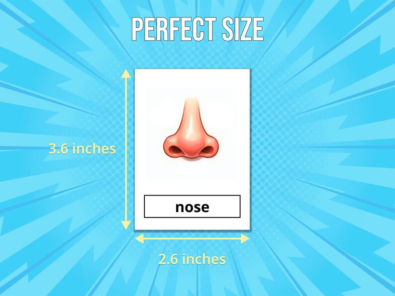 24 Body Parts Flash Cards Printable for Kids (montessori Cards ...