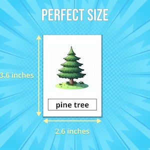 24 Botanical Trees Flash Cards Printable for Kids (montessori Cards ...