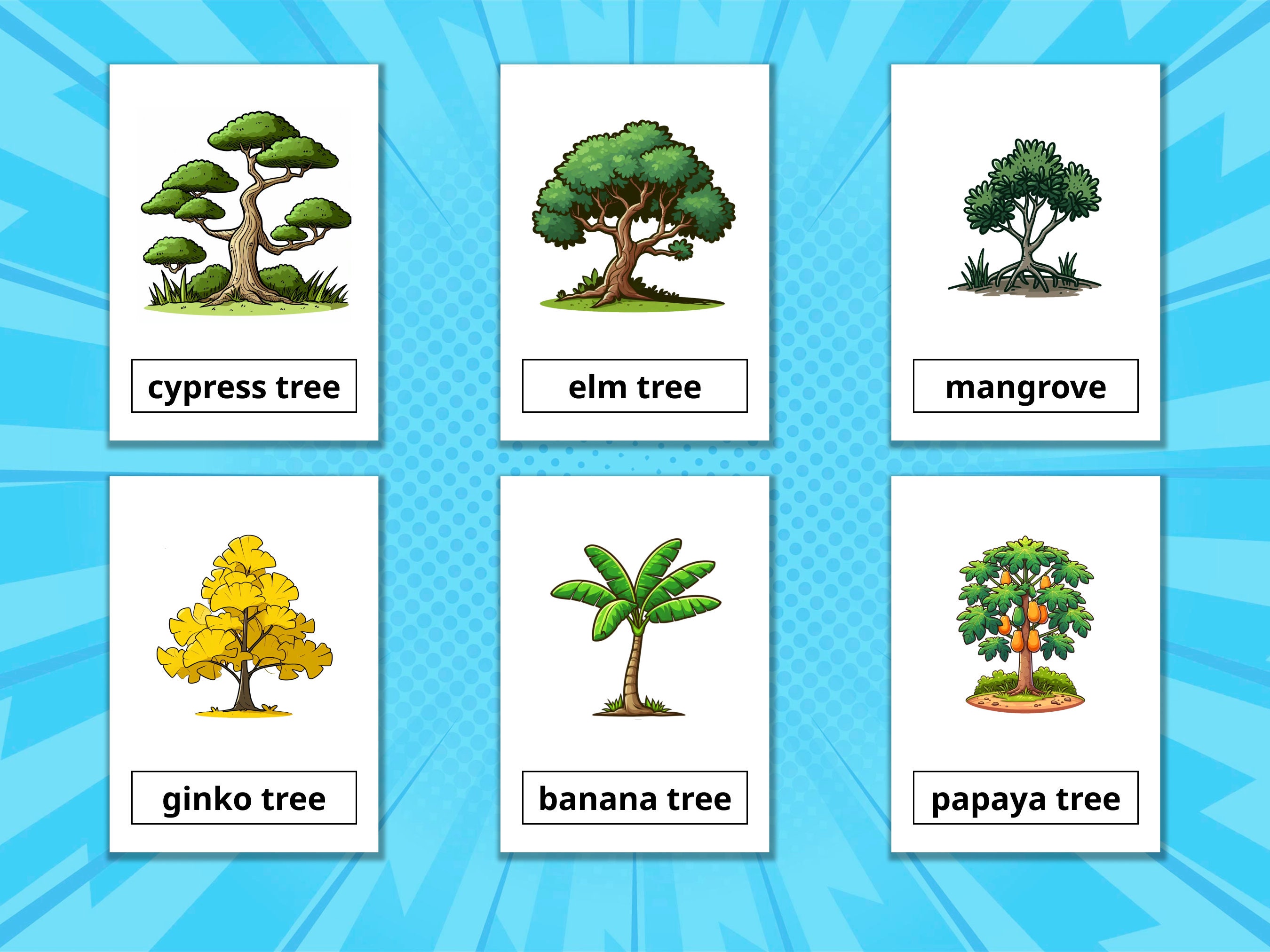 24 Botanical Trees Flash Cards Printable for Kids (montessori Cards ...