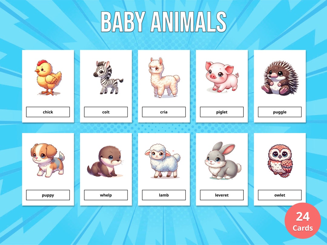 24 Baby Animals Flash Cards Printable for Kids montessori Cards ...