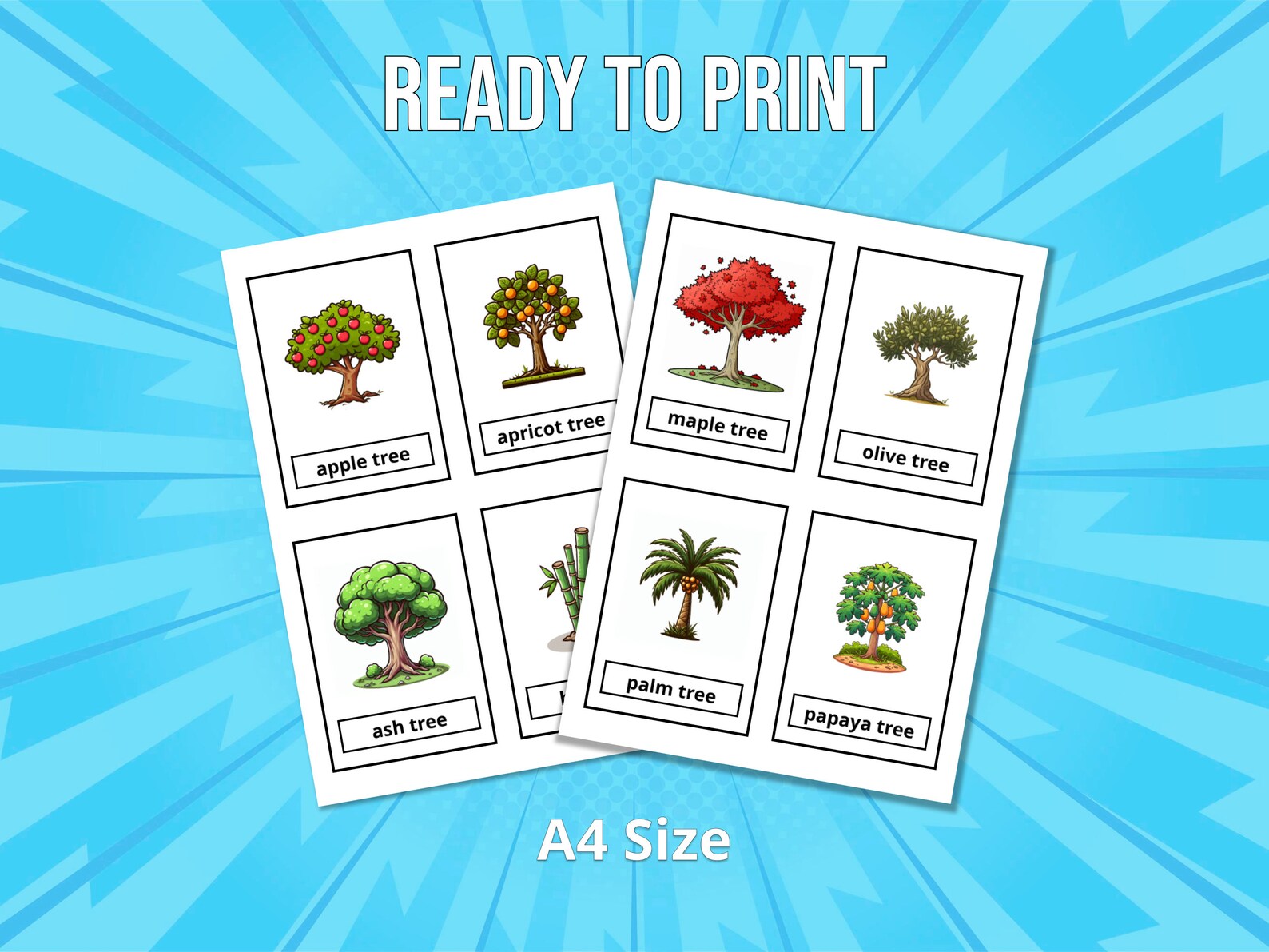24 Botanical Trees Flash Cards Printable for Kids (montessori Cards ...