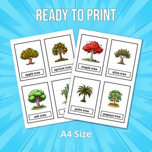 24 Botanical Trees Flash Cards Printable for Kids (montessori Cards ...