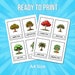 24 Botanical Trees Flash Cards Printable for Kids montessori Cards ...