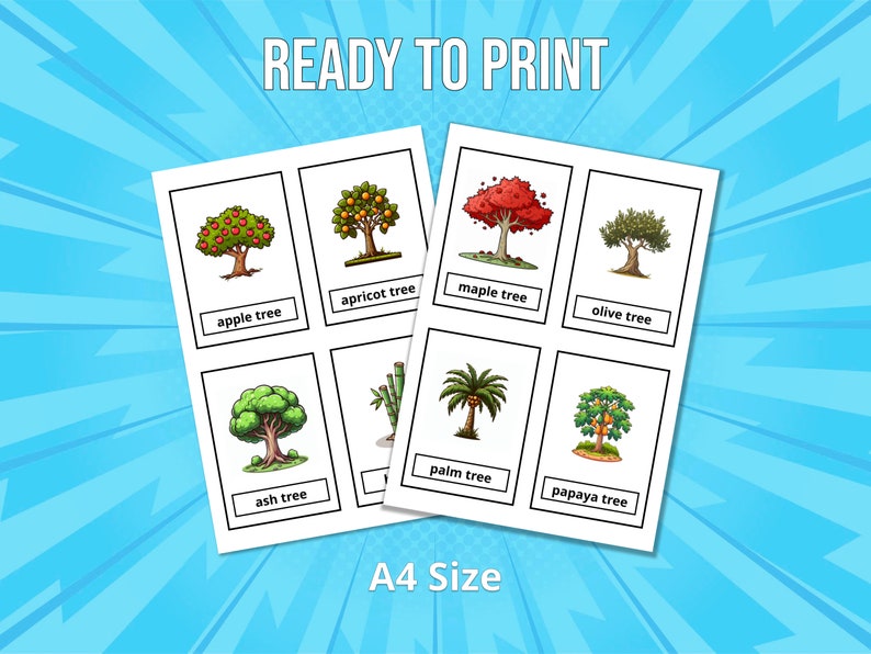 24 Botanical Trees Flash Cards Printable for Kids (montessori Cards ...