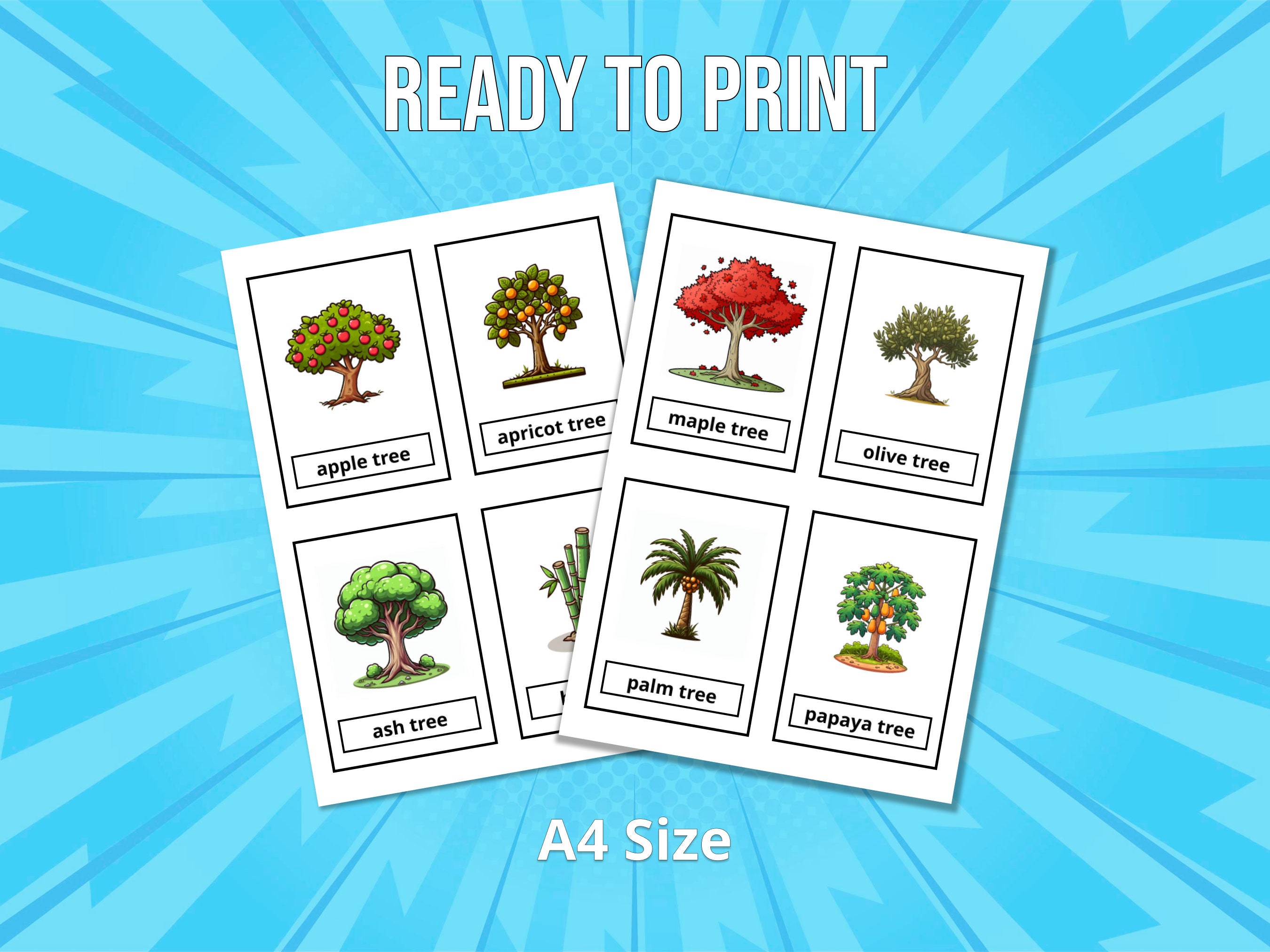 24 Botanical Trees Flash Cards Printable for Kids (montessori Cards ...