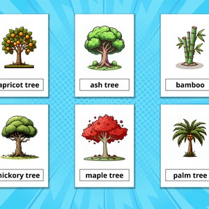 24 Botanical Trees Flash Cards Printable for Kids (montessori Cards ...