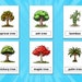 24 Botanical Trees Flash Cards Printable for Kids montessori Cards ...