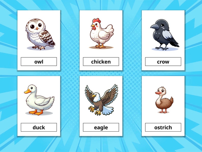 24 Bird Gallery Flash Cards Printable for Kids montessori Cards ...