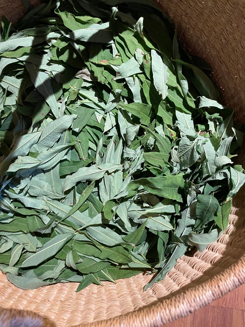 Handcrafted Fermented Fireweed Tea (ivan Chai) - Etsy