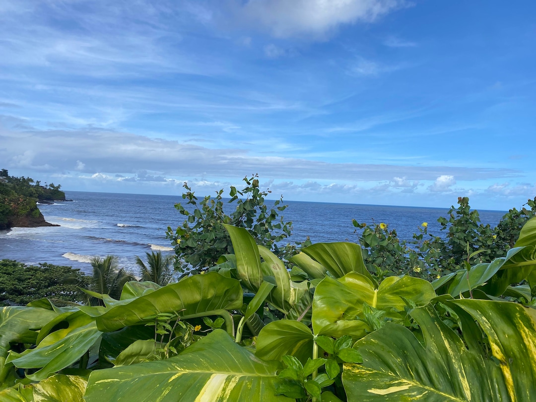 Honolii Beach Park Photo - Etsy