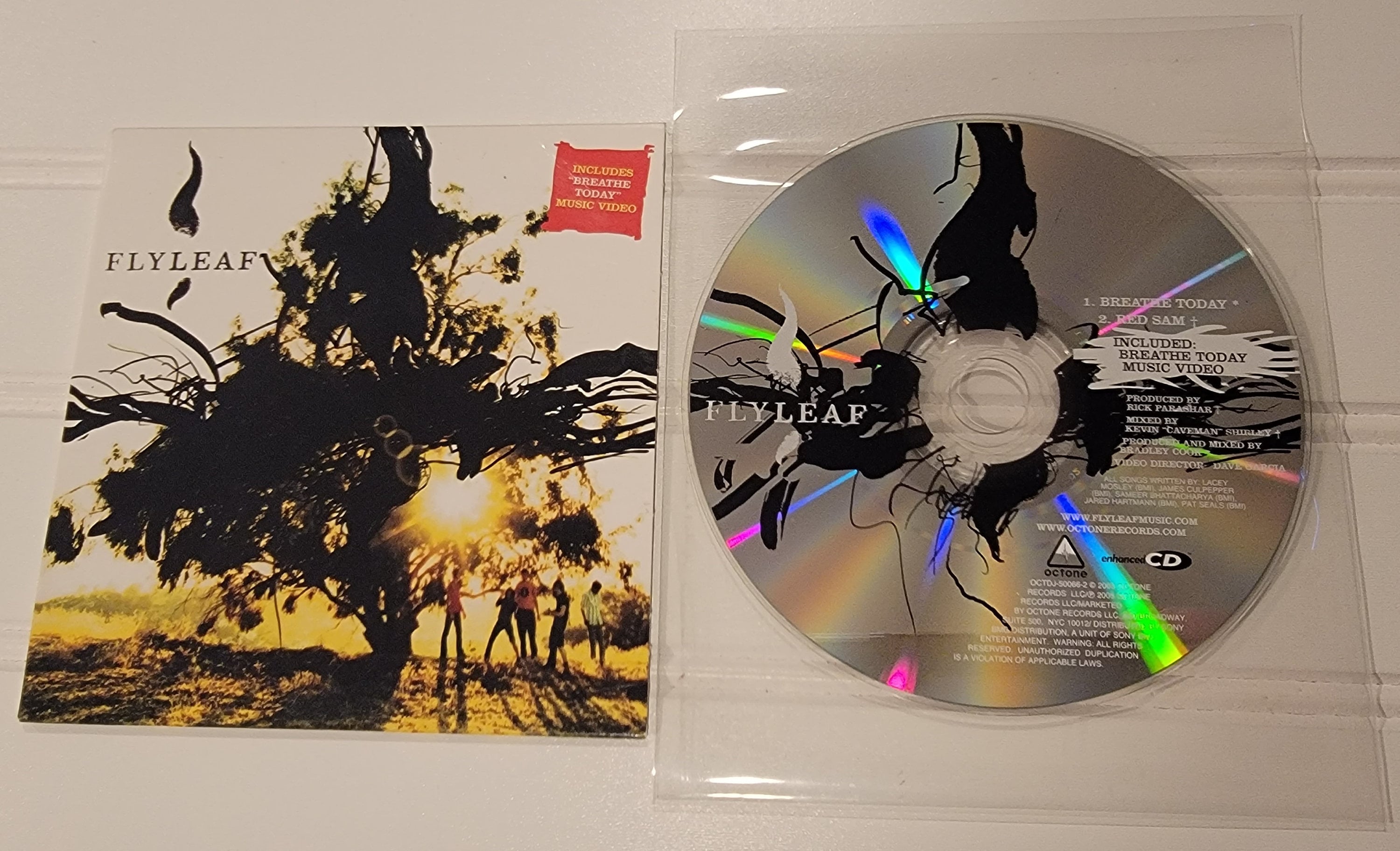 Flyleaf Ep Album Cover