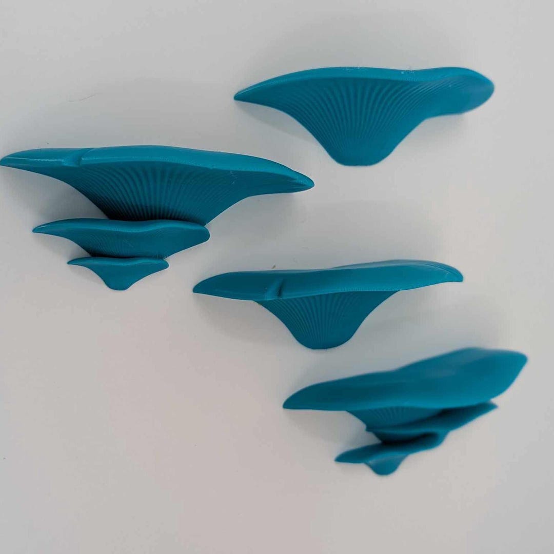 Mushroom Ledge: Reptile & Spider Enrichment and Amphibian, Jumping ...