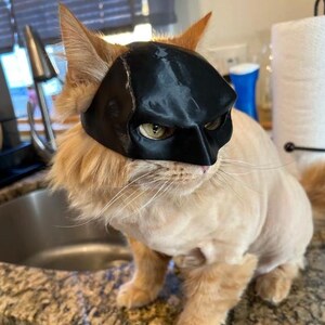 Batcat Mask, Catman the Dark Meow Cat Bat-mask Funny Halloween Costume ...