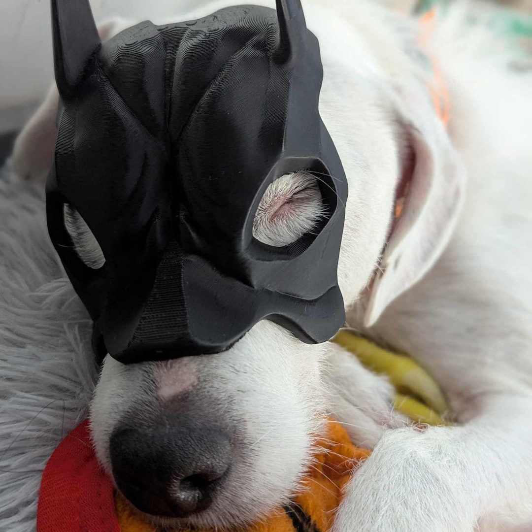 Batdog Mask: the Dark-bark Dog-bat Mask Funny Halloween Costume, Black ...