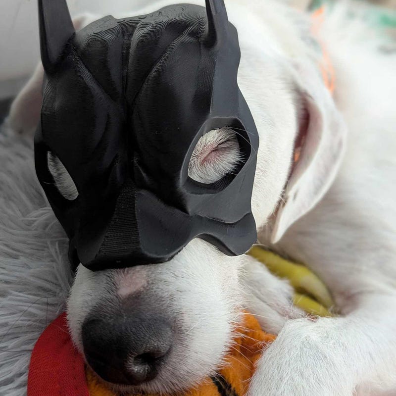 Funny Mask for Dogs - Etsy