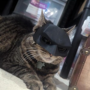 Batcat Mask, Catman the Dark Meow Cat Bat-mask Funny Halloween Costume ...