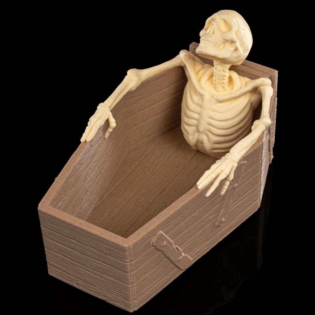 Skeleton Coffin Reptile Dish: Halloween Pet Tank Decor Arachnid, Snakes ...