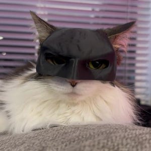 Batcat Mask, Catman the Dark Meow Cat Bat-mask Funny Halloween Costume ...