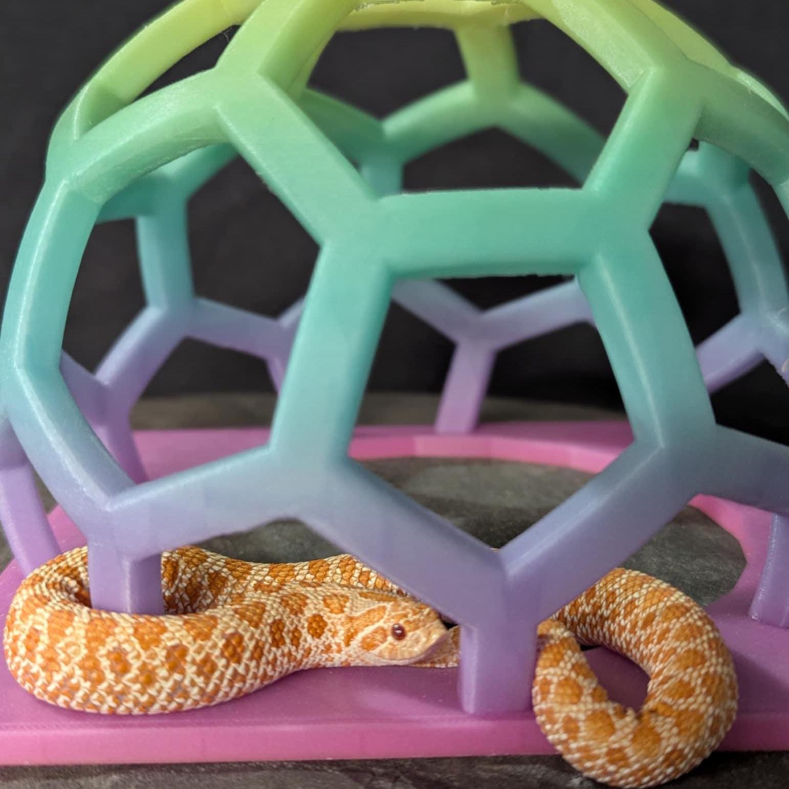 Rainbow Glow-in-dark Snake Climber: Enrichment-decor Arachnid, Snakes ...