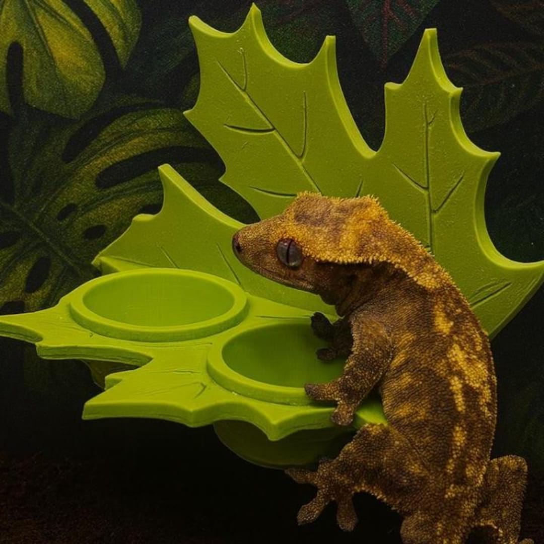 Maple Leaf Reptile Feeding Ledge: Enrichment Decor - Etsy