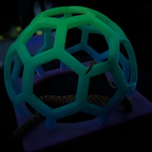 Rainbow Glow-in-dark Snake Climber: Enrichment-decor Arachnid, Snakes ...