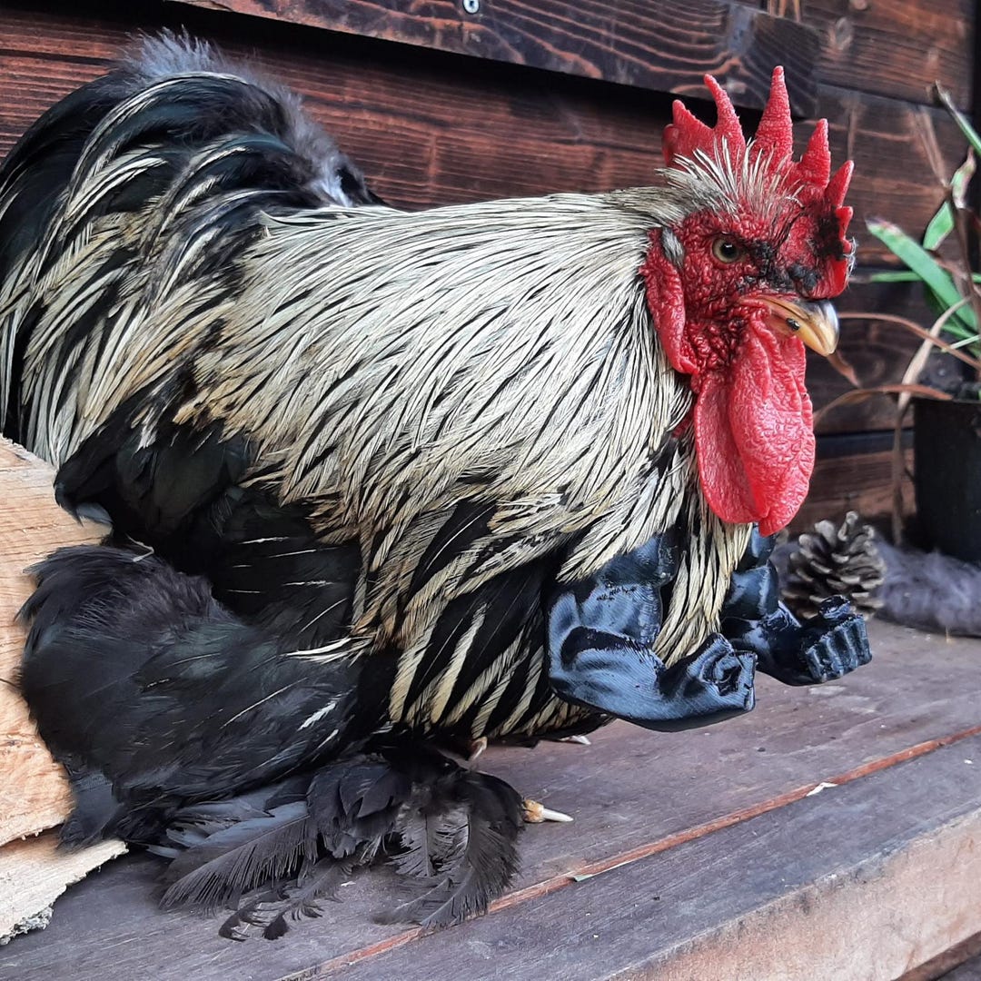 Chicken Arms / Incredible Hulk Muscled Arms / Chicken Photo Prop / Hulk ...