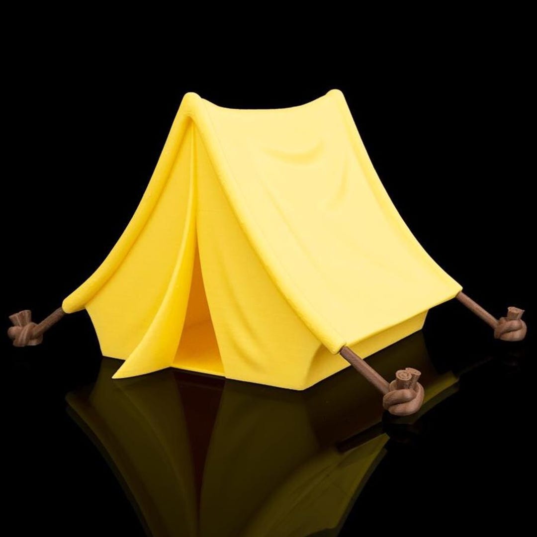 Camping Tent: Camping Decor Arachnid, Snakes, Reptile, Jumping Spider ...