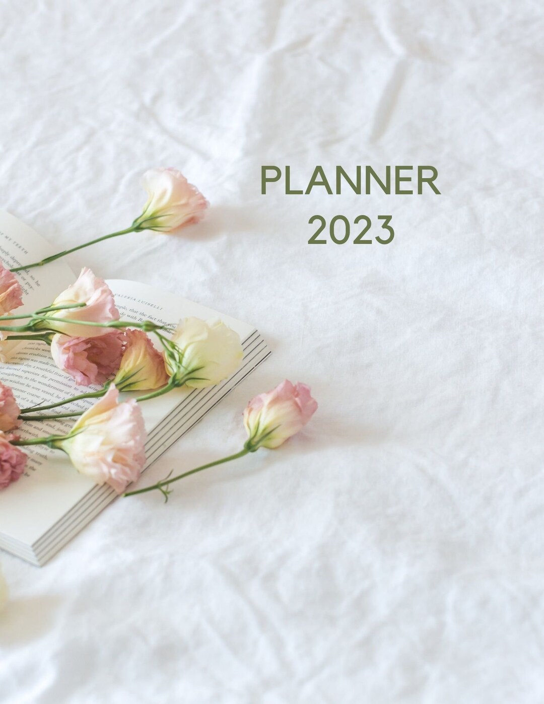 Digital 12-month Planner and a Budget Spread Sheet All - Etsy