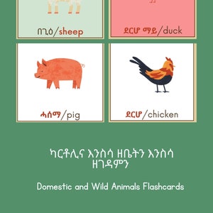 Domestic and Wild Animals Flashcards in Tigrinya - Etsy