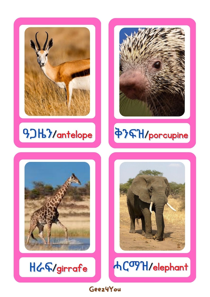 Domestic and Wild Animals Flashcards in Tigrinya - Etsy