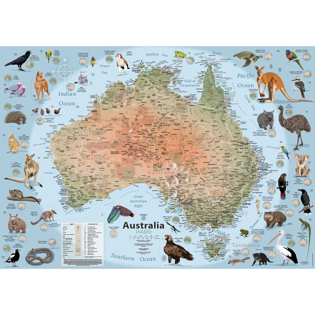 Illustrated Map of Australia - Wildlife - Etsy